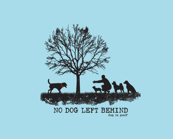 The Benefits of Adopting a Dog from a Shelter - BarksToShop