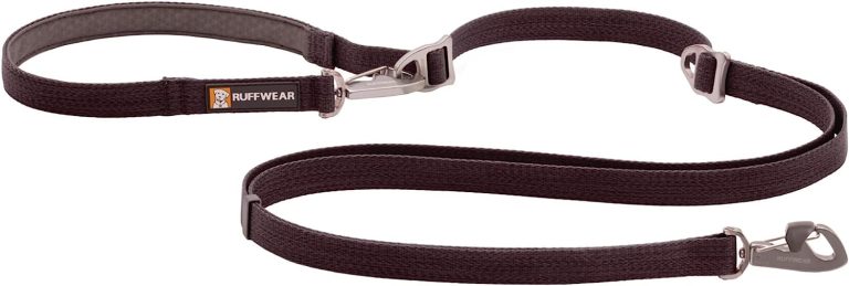 Essential Dog Leashes: Your Guide to Pet Safety - BarksToShop