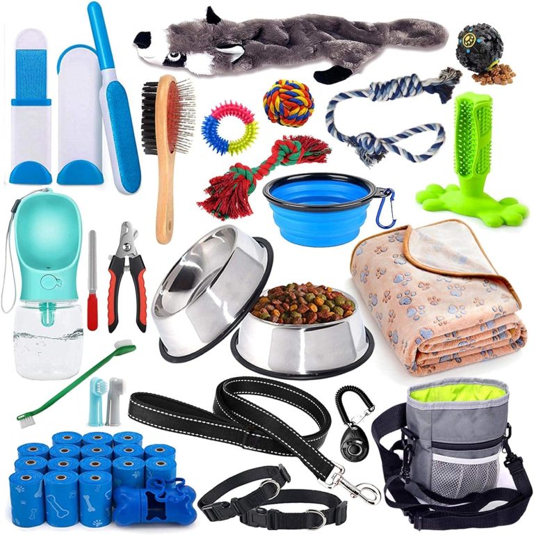 Master Puppy Training: Unlock the Secrets to Success - BarksToShop