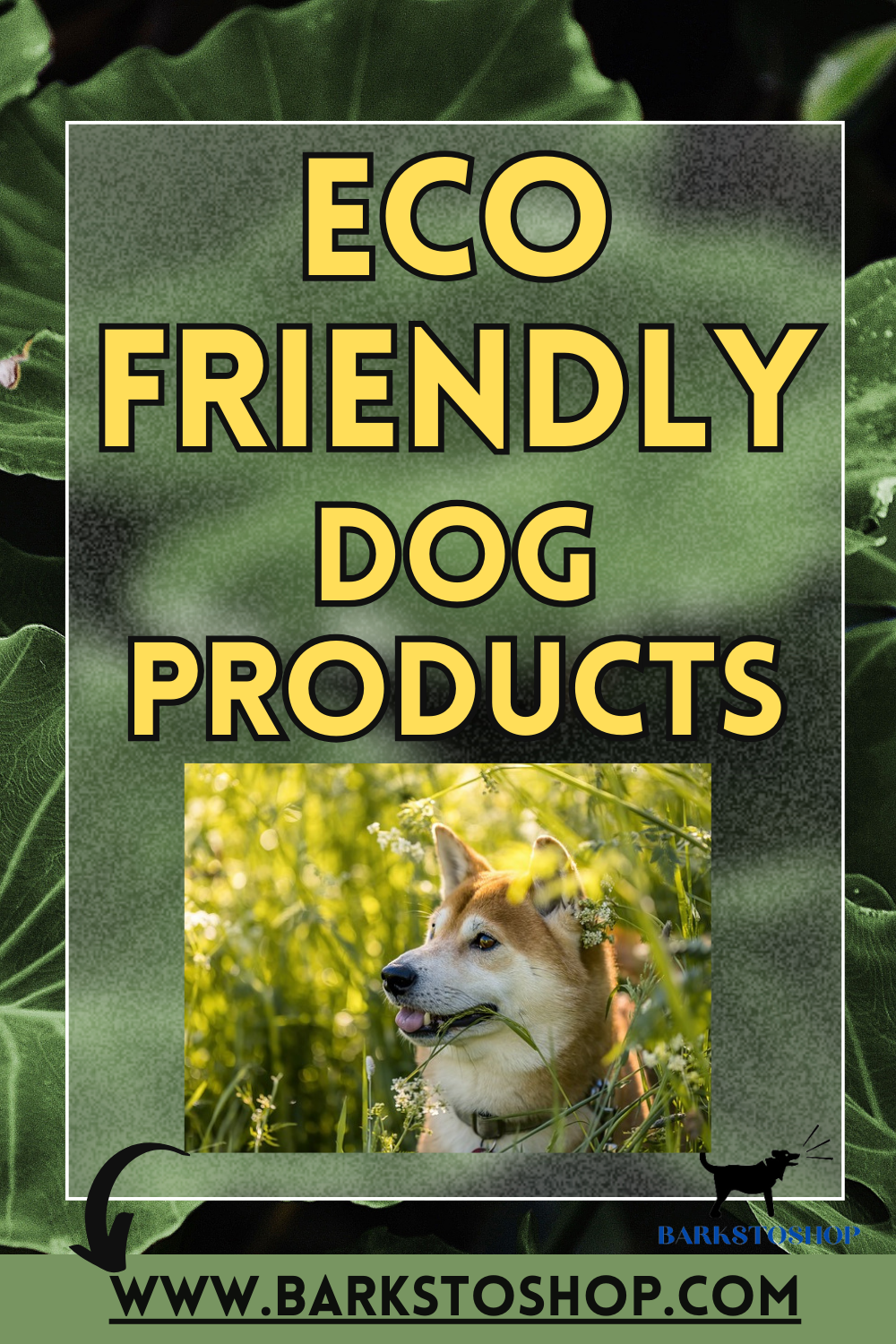 Sustainable and Eco-Friendly Dog Products: A Guide - BarksToShop