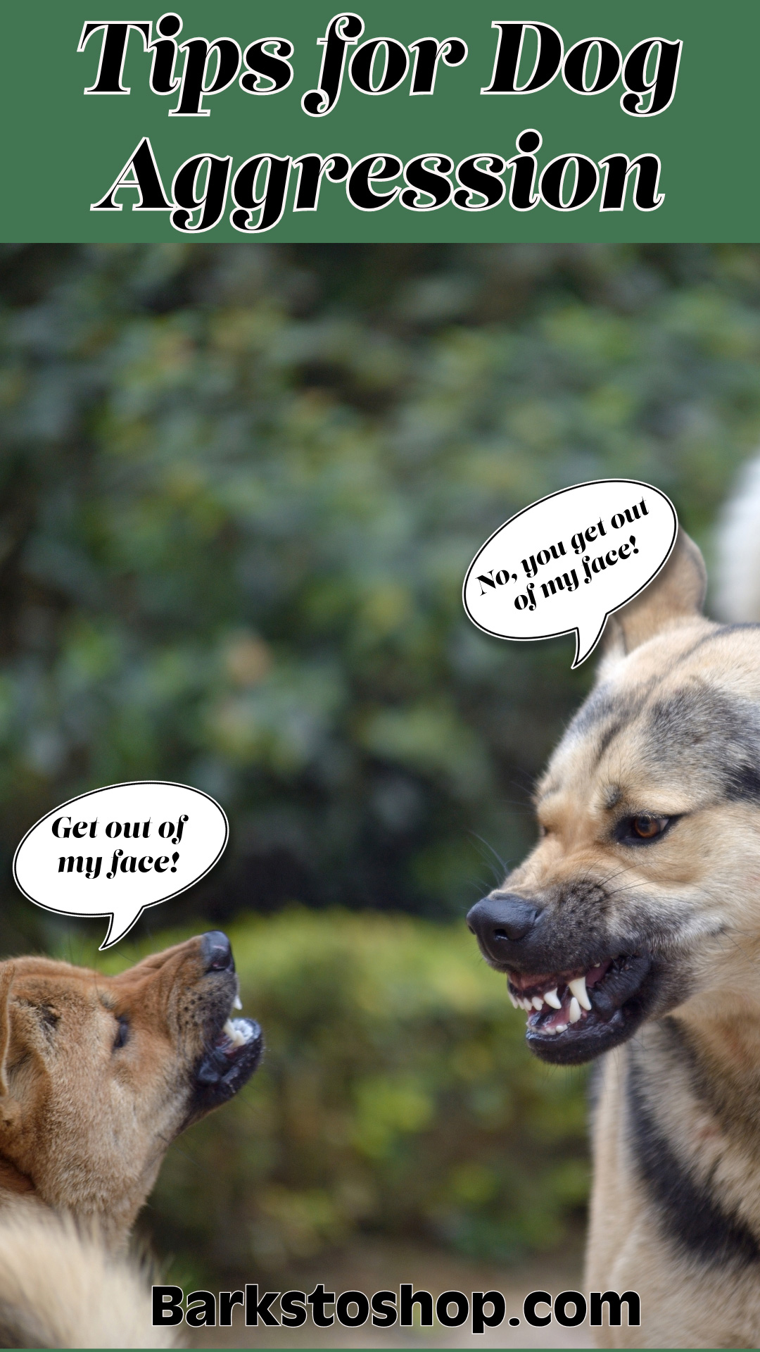 Handling Dog Aggression: Best Tips for Success - BarksToShop