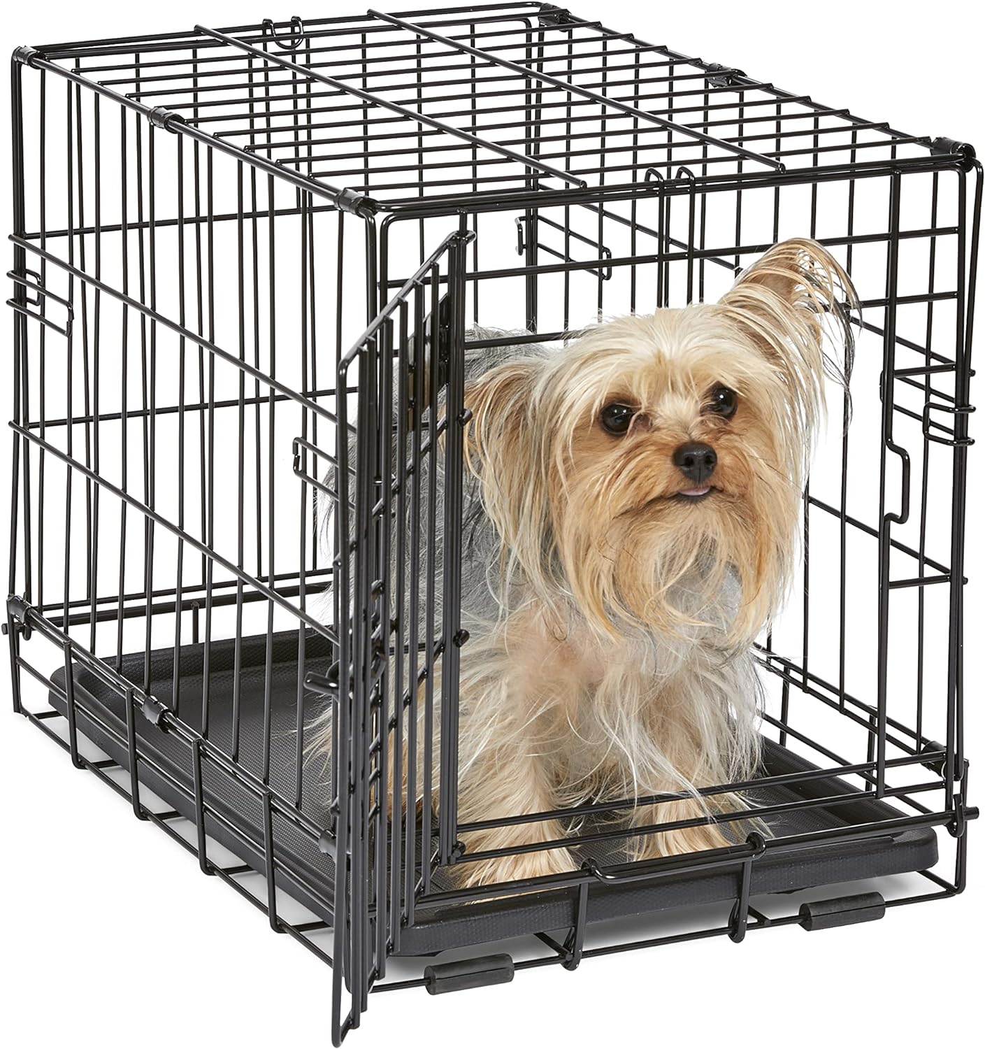Stop Dog Furniture Chewing: Effective Techniques - BarksToShop
