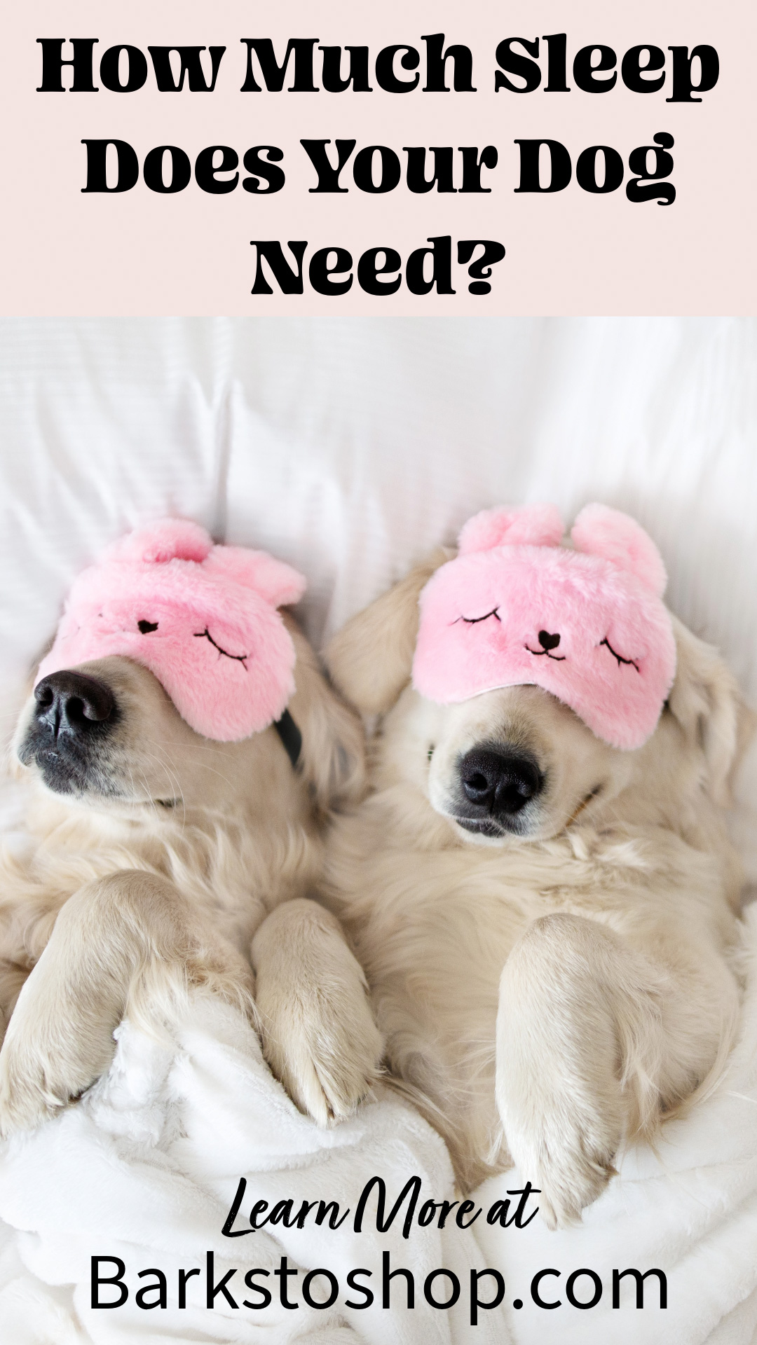 Dog Health: How Much Sleep Does a Dog Need a Day? - BarksToShop